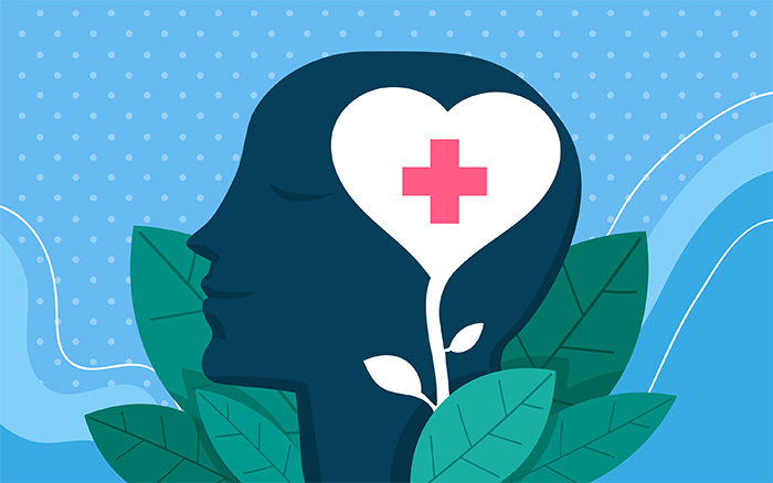 Understanding the 2024 CCMH Report - Medicat